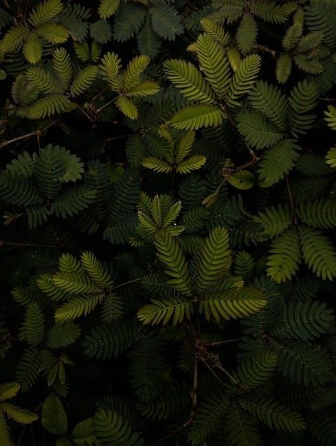 Windows 11 for Dummies: Your Ultimate Guide | Free PDF Download