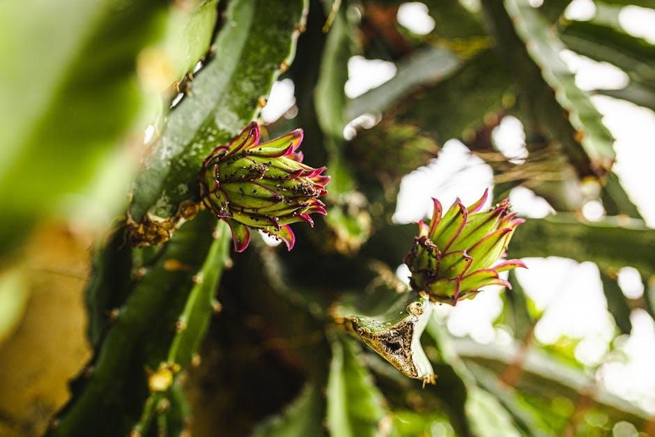 Prickly Plants: Ultimate Cactus Care Guide | Shot of Health